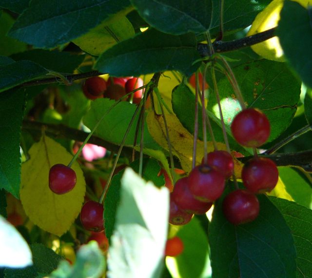 The Dreamer, The Driven, & The Achiever: April 2012