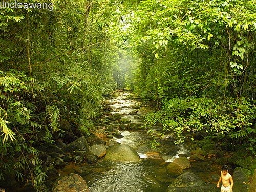 Bang Marol In The House: Waterfall/Water Stream in Kuching