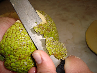 Samoan Cooking: Fa'alifu Ulu... Cooked Breadfruit in Coconut Milk :)