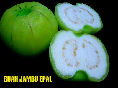 jambu epal cameron highlands - JaquantaroIbarra