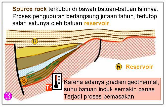 source rock ( batuan induk ) - Miner Sriwijaya