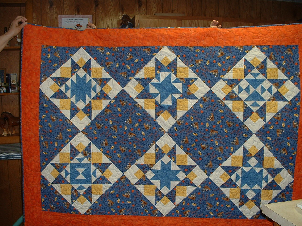 Quilting With A Marmalade Cat: Quilt Club today at Joan's....