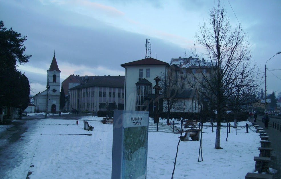 Apollo Blog: Toplita 15.01.10