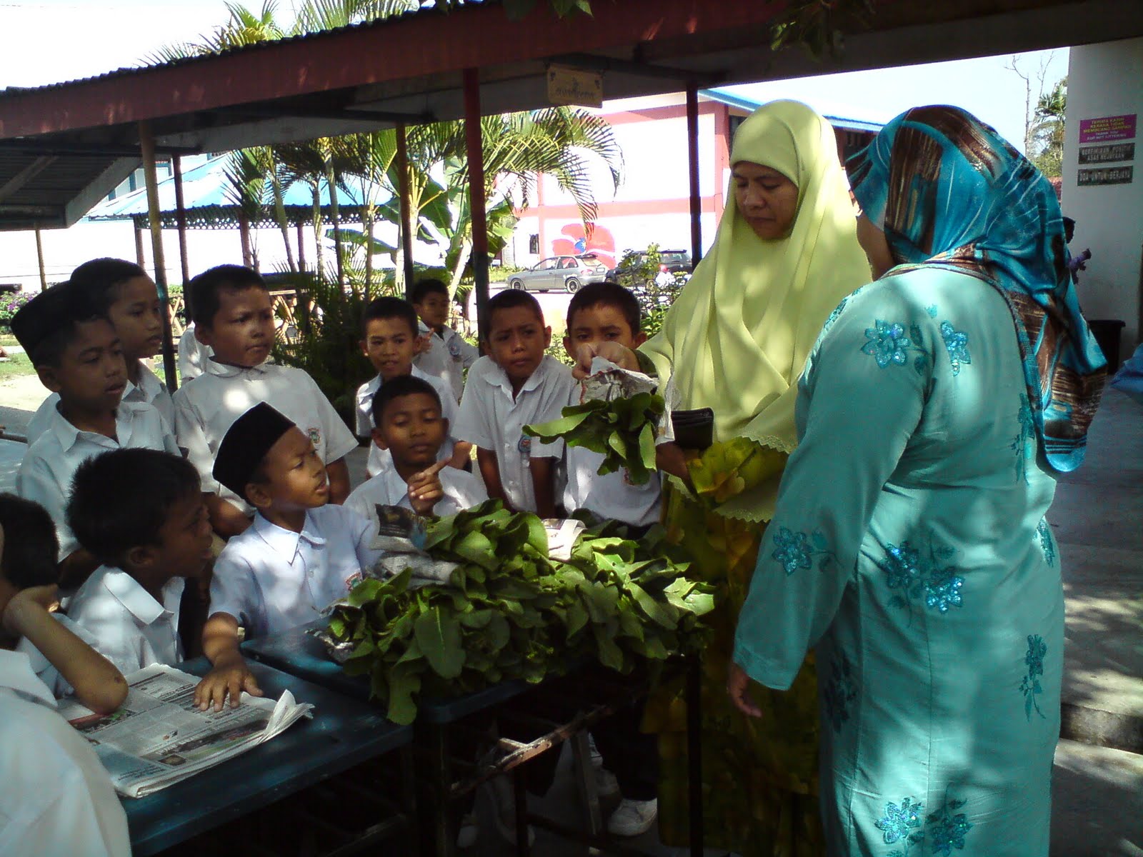 Pendidikan Khas Sekolah Kebangsaan Kuang