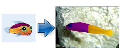 What FishVille Fishes Look In Real Life (My FishVille)