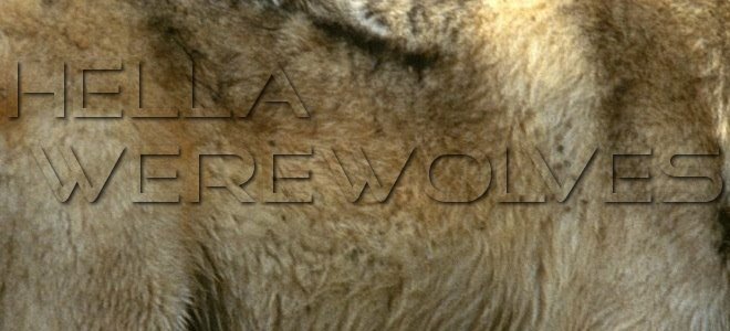 There was hella werewolves everywhere!