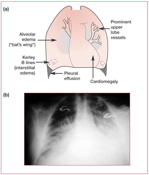 Dr. Amir's Blog: April 2010