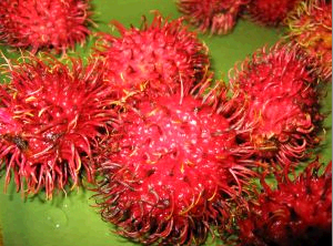 Curious About Health, Nutrition and more: rambutan - a fuzzy fruit