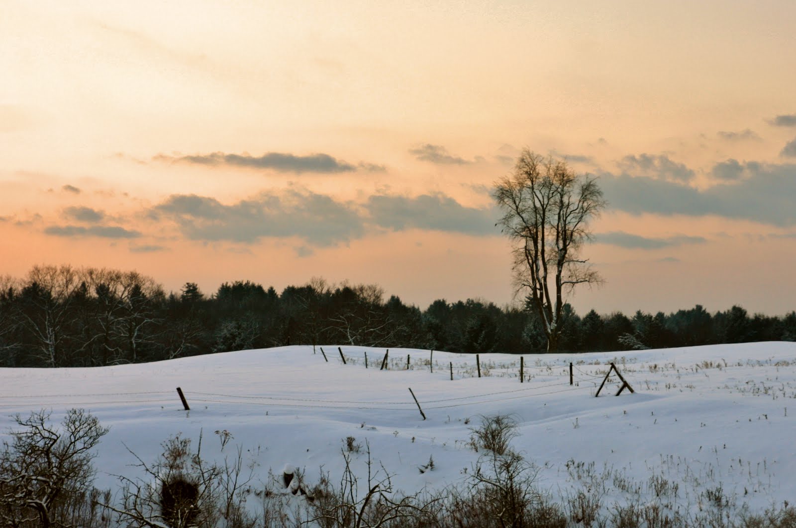 Chase Images: Bitter Cold Morning