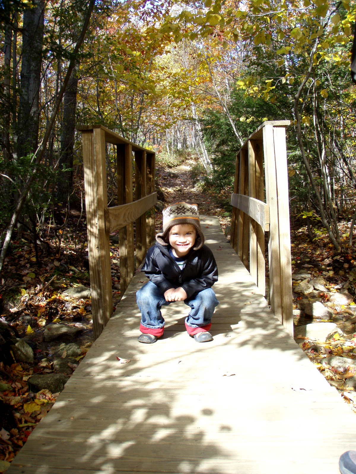 hikethesummits: Mt. Blue Job 10/19/10