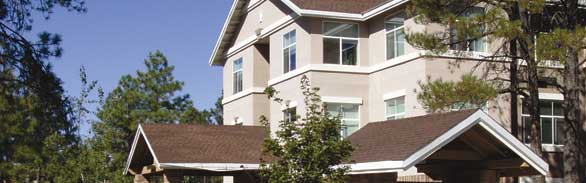 Heather Lynne Toland