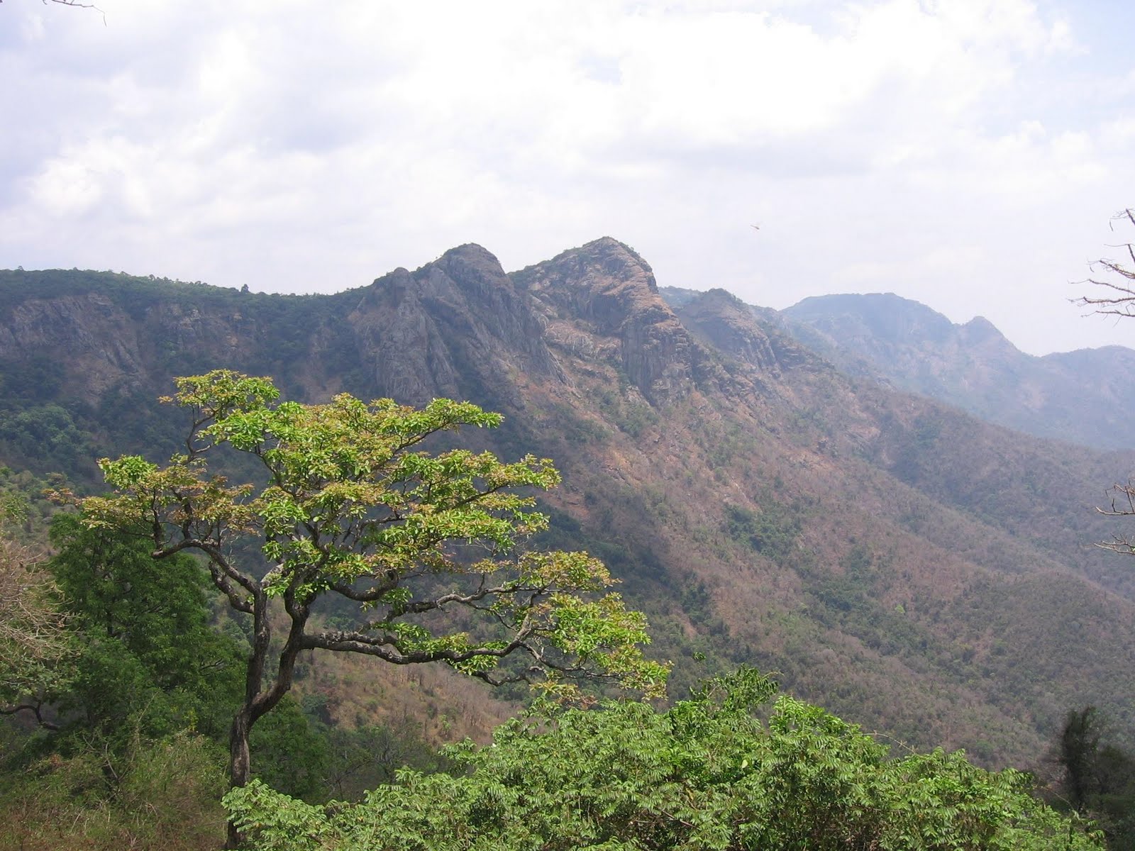 Ride for Passion: Ride to Kolli Hills also called as Kollimalai ...