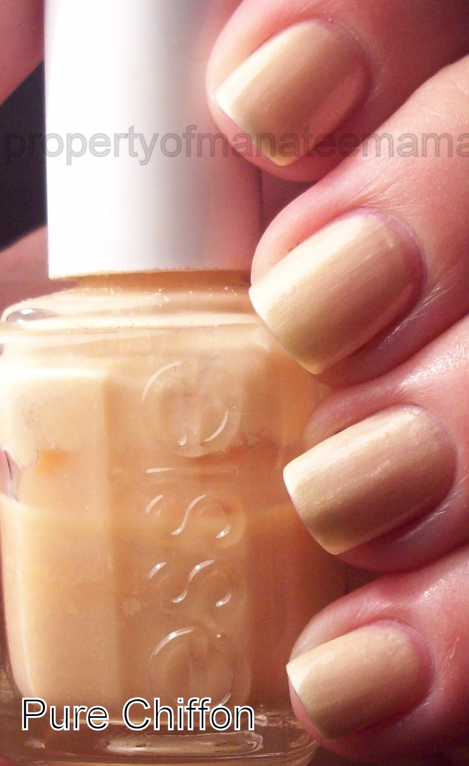 The Manicured Manatee: Essie Spam!