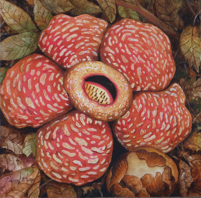 Painting Exotic Borneo: Borneo Rafflesia