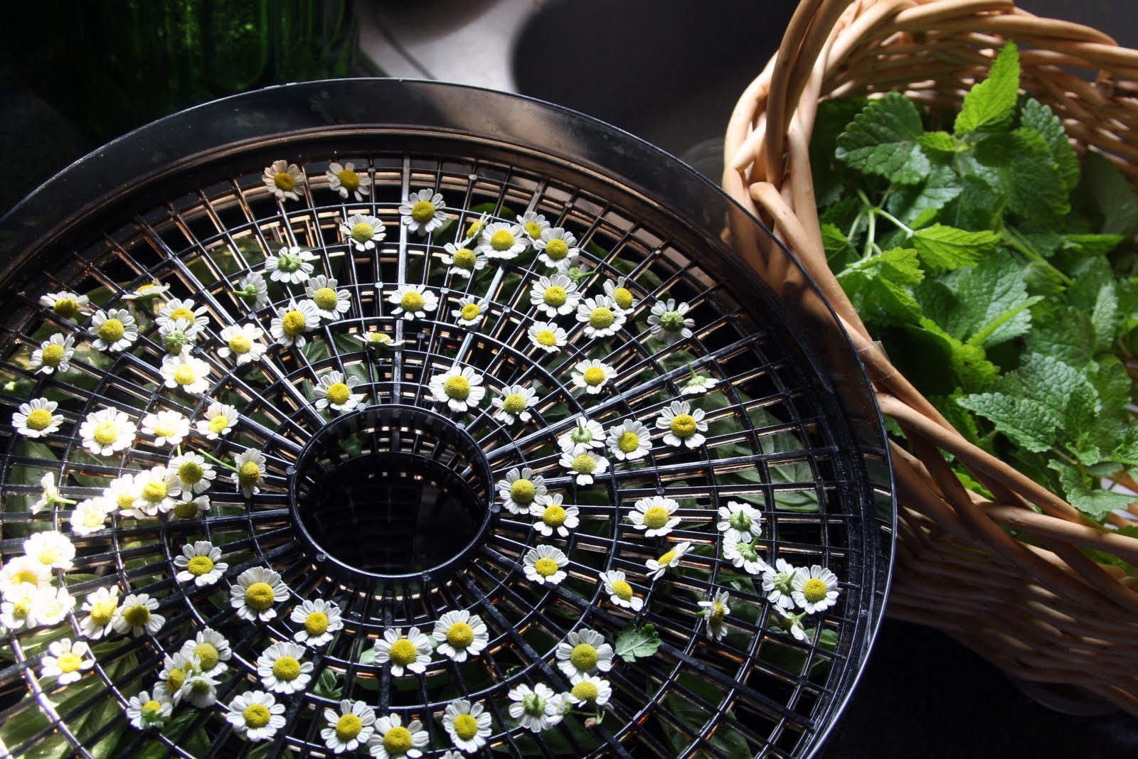 The Creamer Chronicles: Make your own tea