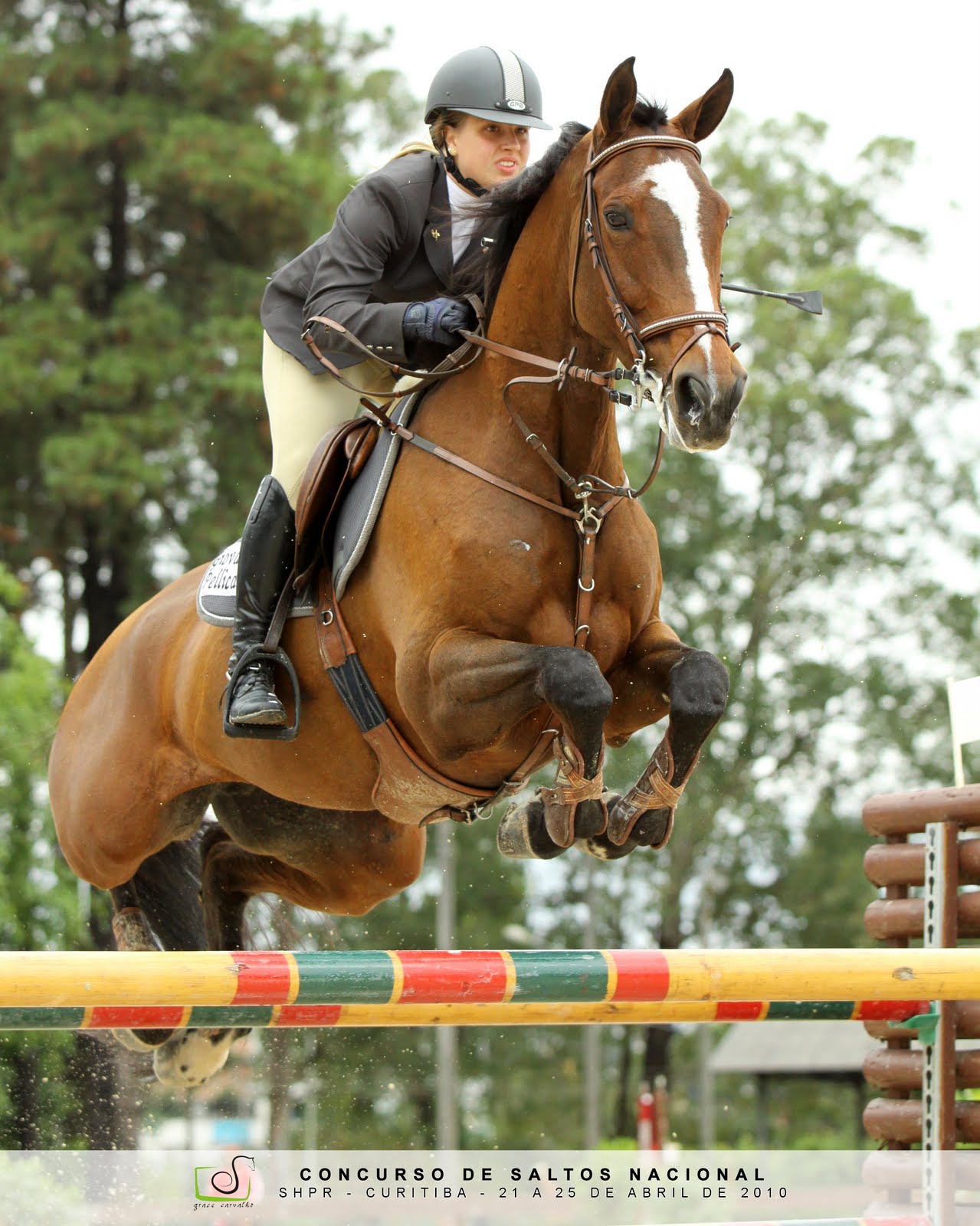 Nós, Pessoas Comuns!: A grande promessa do Hipismo Brasileiro