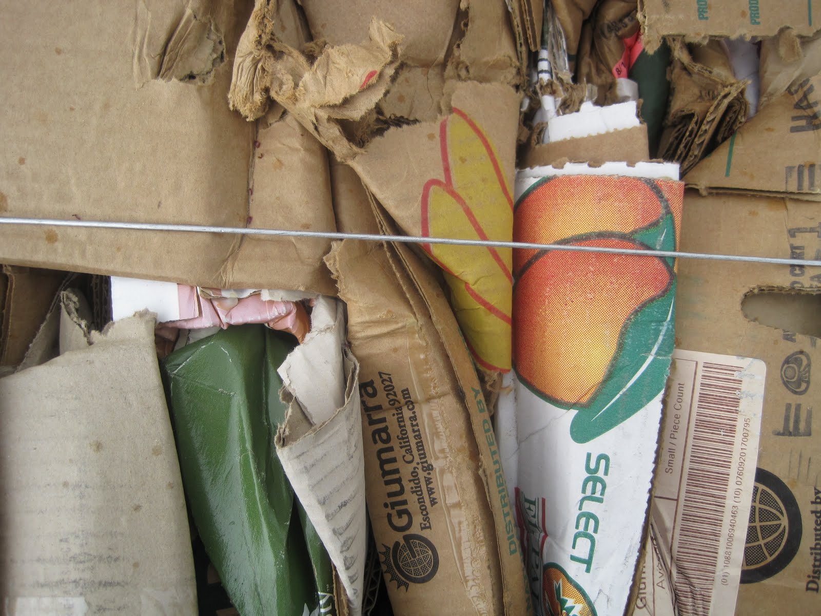 THE DRALA PRINCIPLE:: HUGE CHOICE EACH MOMENT