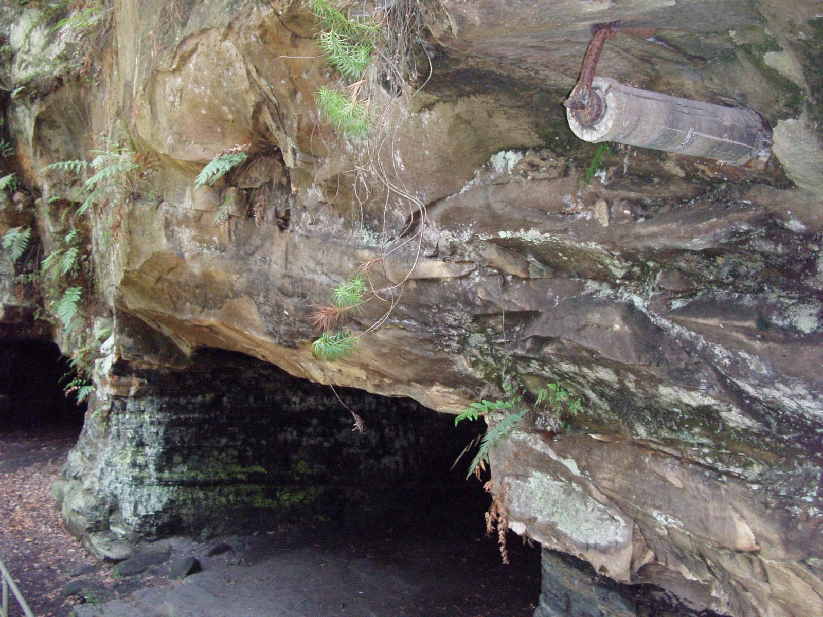 The Big Adventure Continues: November 2010