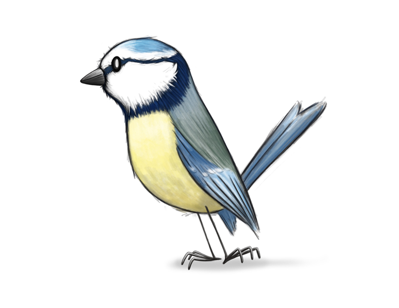 i's doodle blog: Meisen - titmice