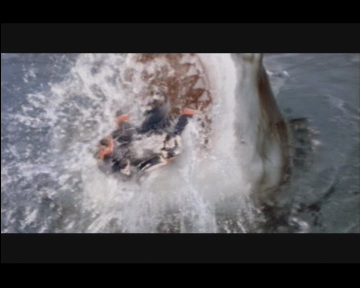 Direct to Video Connoisseur Images: Shark Attack 3: Megalodon (2002)