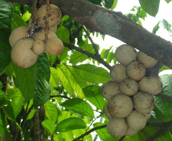 Phronesisaical: July 2010