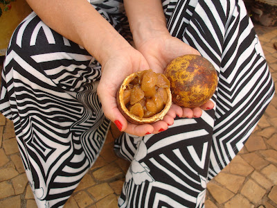 SABOR DE MABOQUE: Sinopse