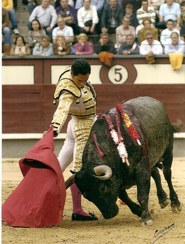 de Lá pra Cá: Toradas: Que Dios reparta suerte