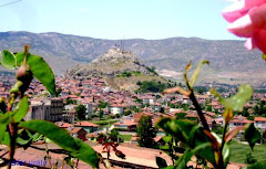 TURHAL: TURHAL NÜFUSU