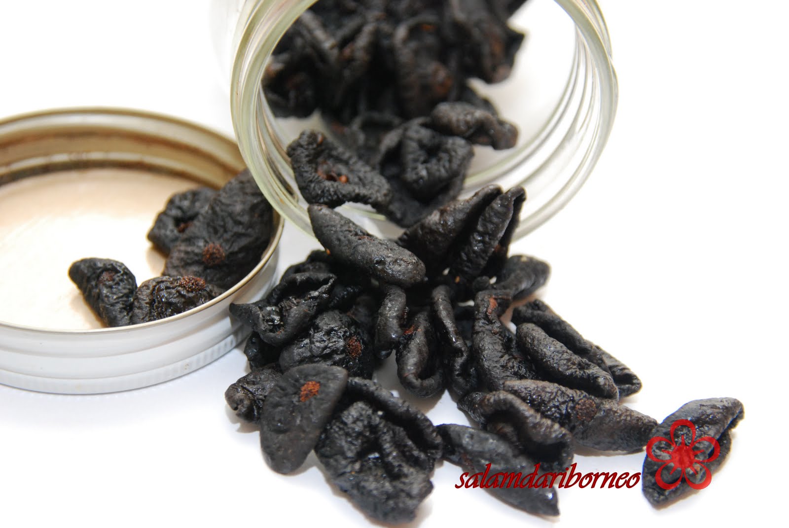 aneka RASA - air tanganku: AROI - AROI