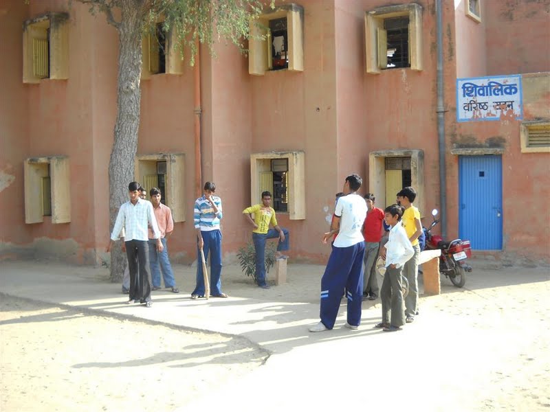 JAWAHAR NAVODAYA VIDYALAYA SARDARSHAHR CHURU: photo collection