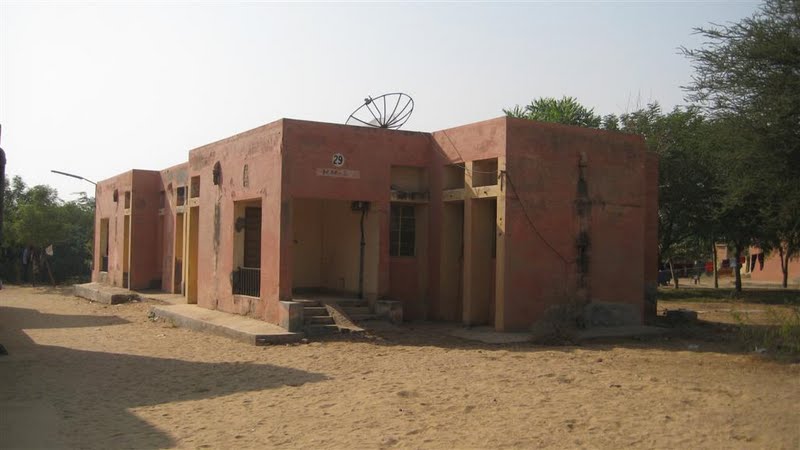 JAWAHAR NAVODAYA VIDYALAYA SARDARSHAHR CHURU: photo collection