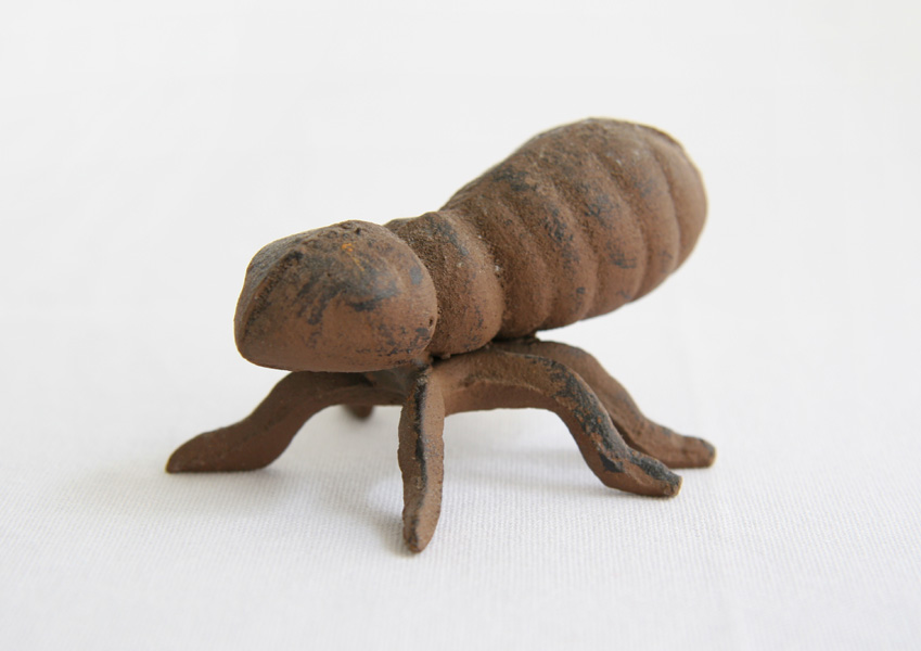 Cast Iron Insects