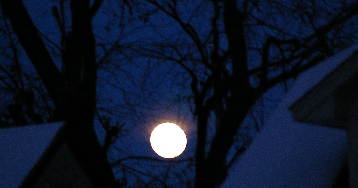 january's full moon