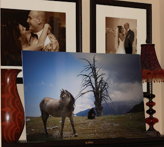 TNT Builds: Ordering large scale photographs