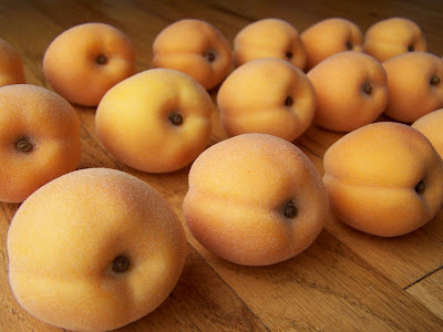 Fruit Alphabetical List: Fruit Alphabetical List - Apricots
