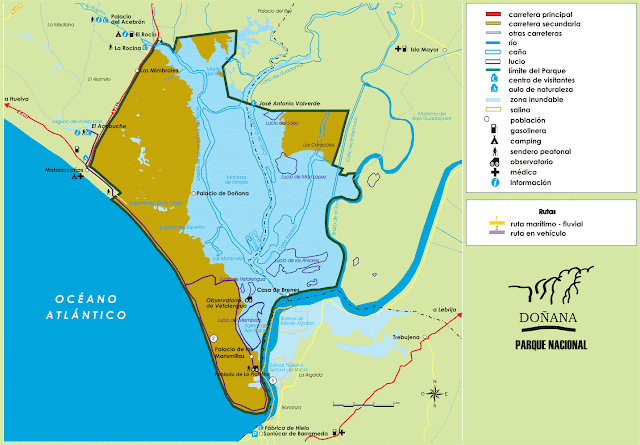 Cuesta Maneli: Doñana Y Su Entorno