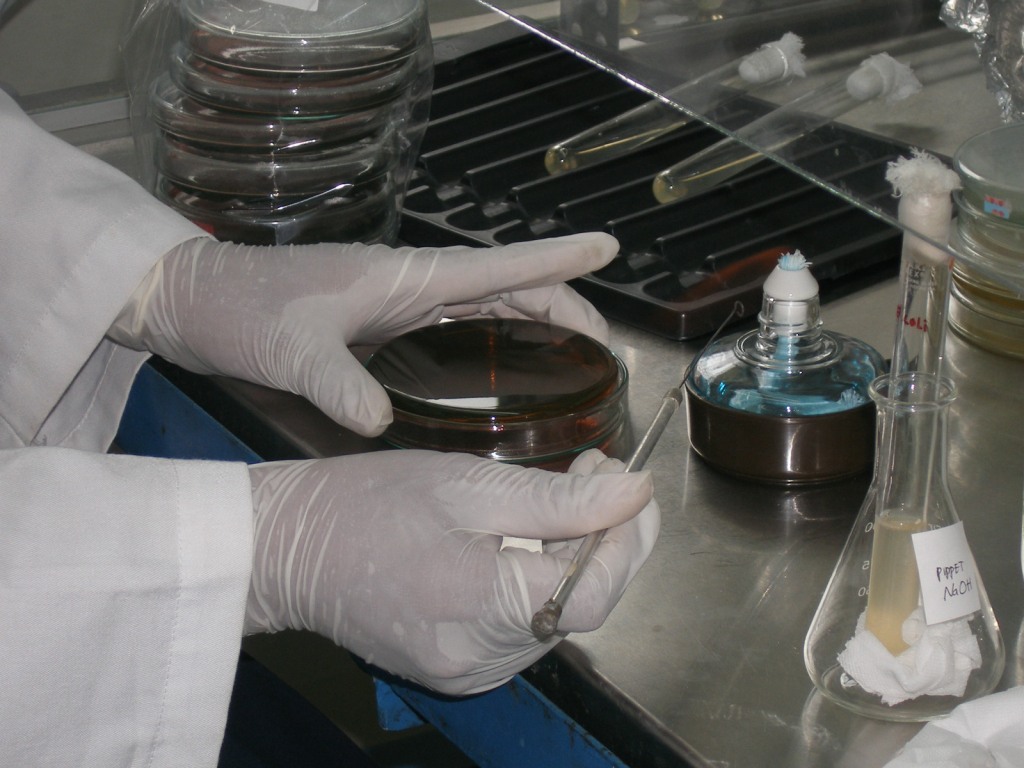 Training Mikrobiologi Dasar: Materi