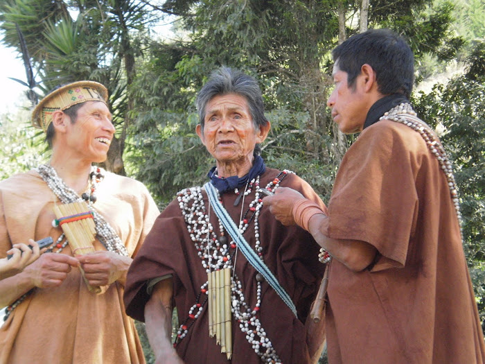 COMUNIDAD NATIVA YANESHA DE TSACHOPEN