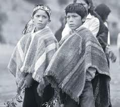 los mapuches: Todo sobre mapuches