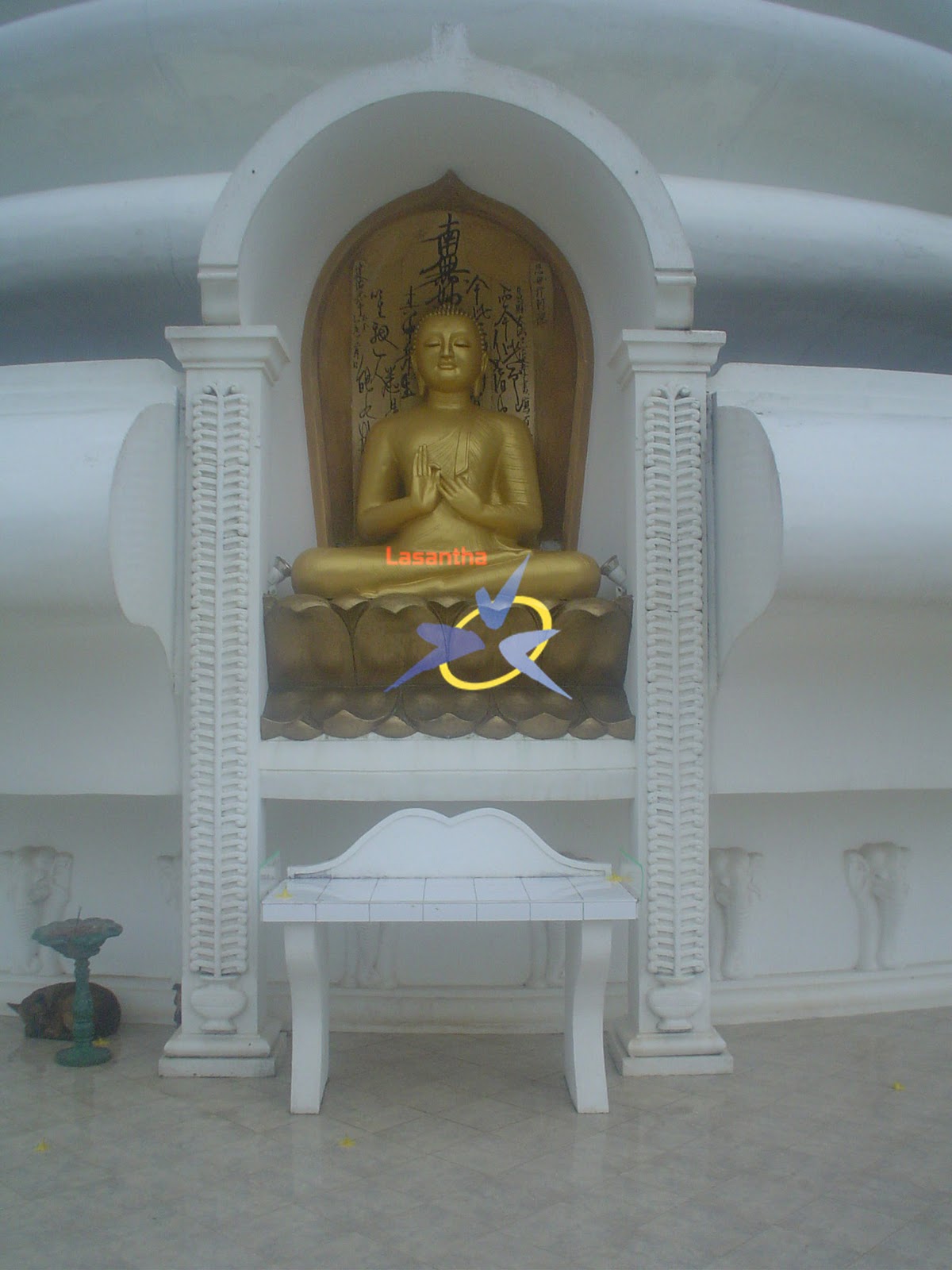 Sri Lanka Insects: Galle and Rumassala