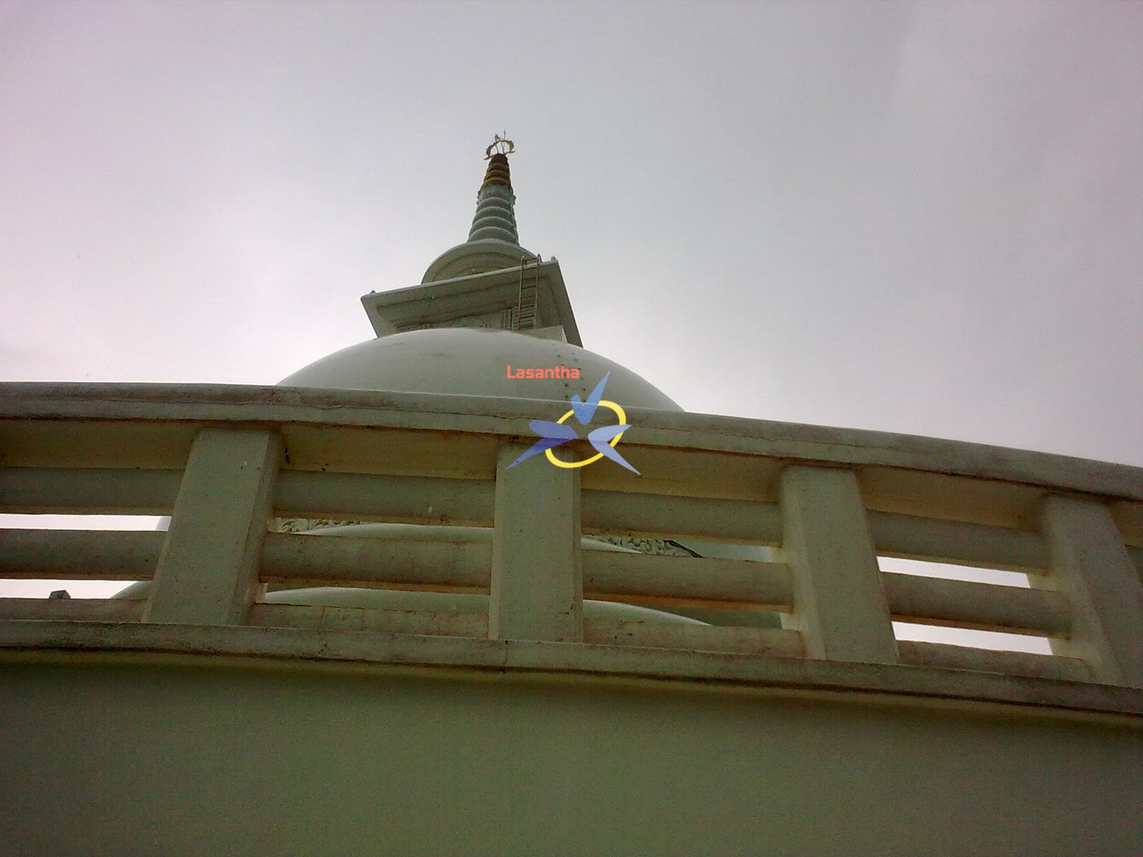 Sri Lanka Insects: Galle and Rumassala