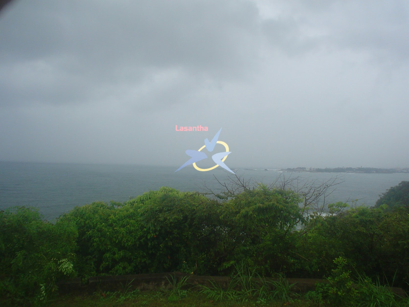 Sri Lanka Insects: Galle and Rumassala