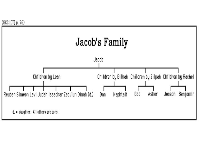 Bible Book Club: Genesis 29 & 30a - Jacob and the Childbearing Wars
