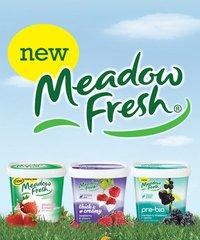 Everything Yogurt: Yogurt Review : Meadow Fresh