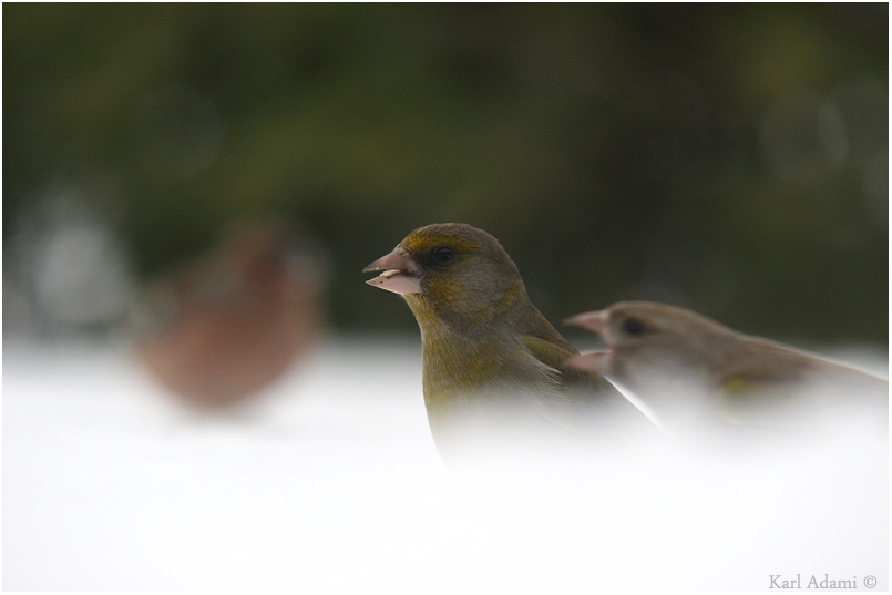 7Vaadet: Mis toimub?