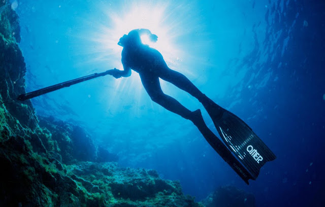 Uno sport da valorizzare : la pesca subacquea