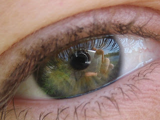 Tuesdays with Muerte: Myiasis