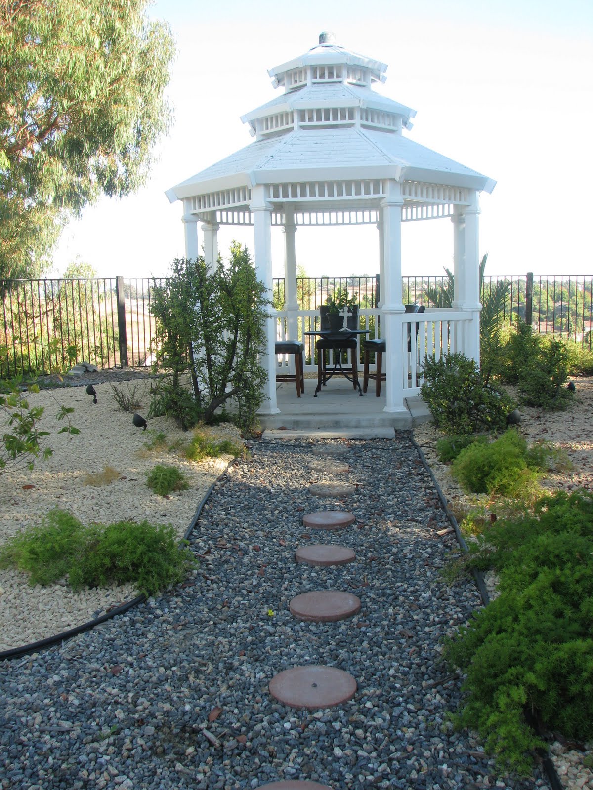 The Starnes Family: Scoop - With Pictures Of The Back Yard