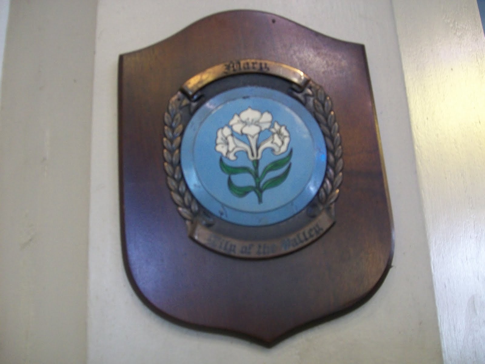 CARIBBEAN CATHOLIC: Shields at the Cathedral of the Immaculate Conception