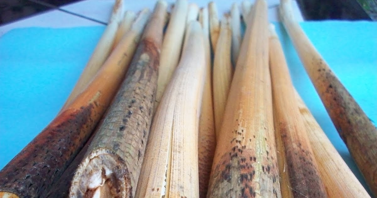 ROTAN INDONESIA: Kuliner Umbut Rotan